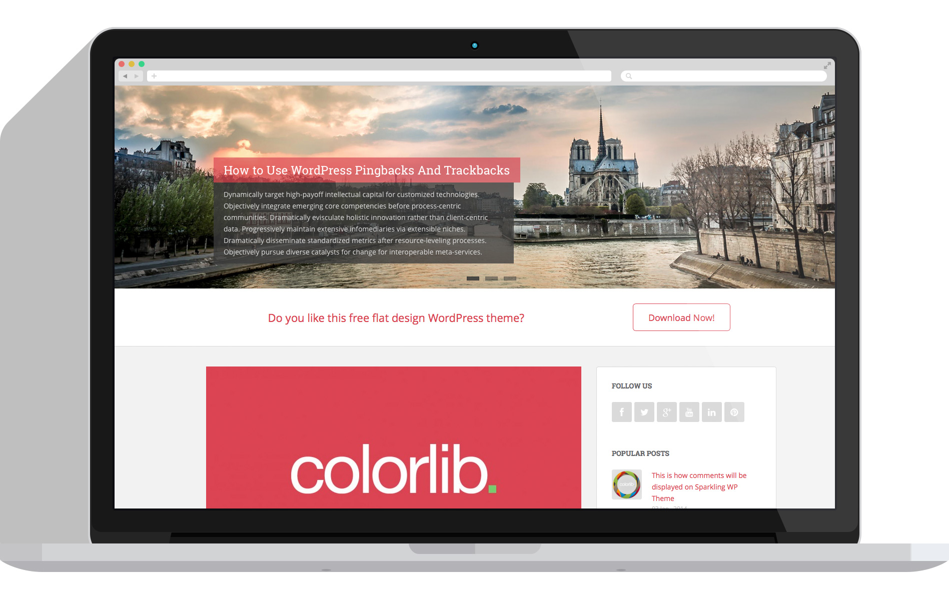Sparkling - Free Flat Design WordPress Theme - Colorlib