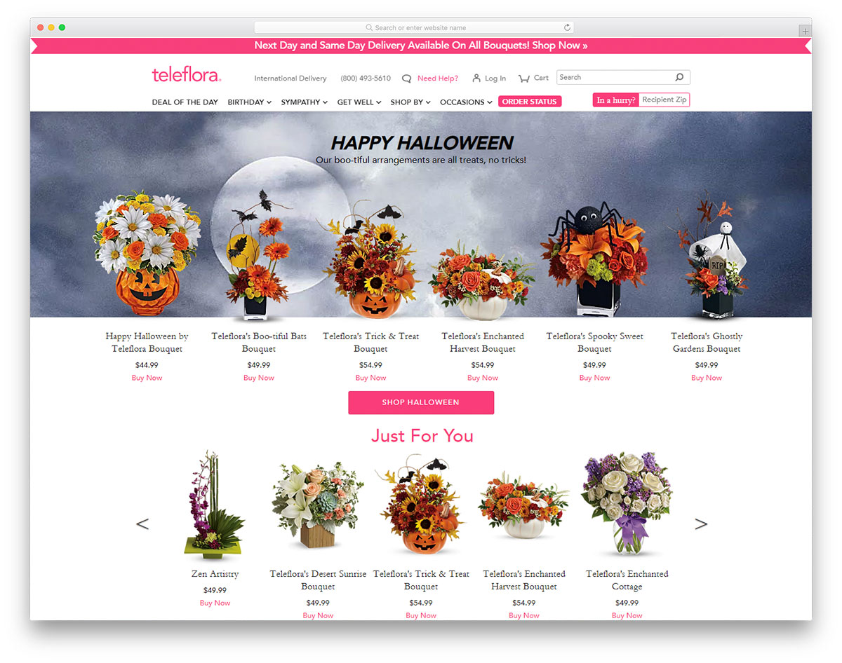 17 Best Florist Website Designs For Your Inspiration 2022 - Colorlib