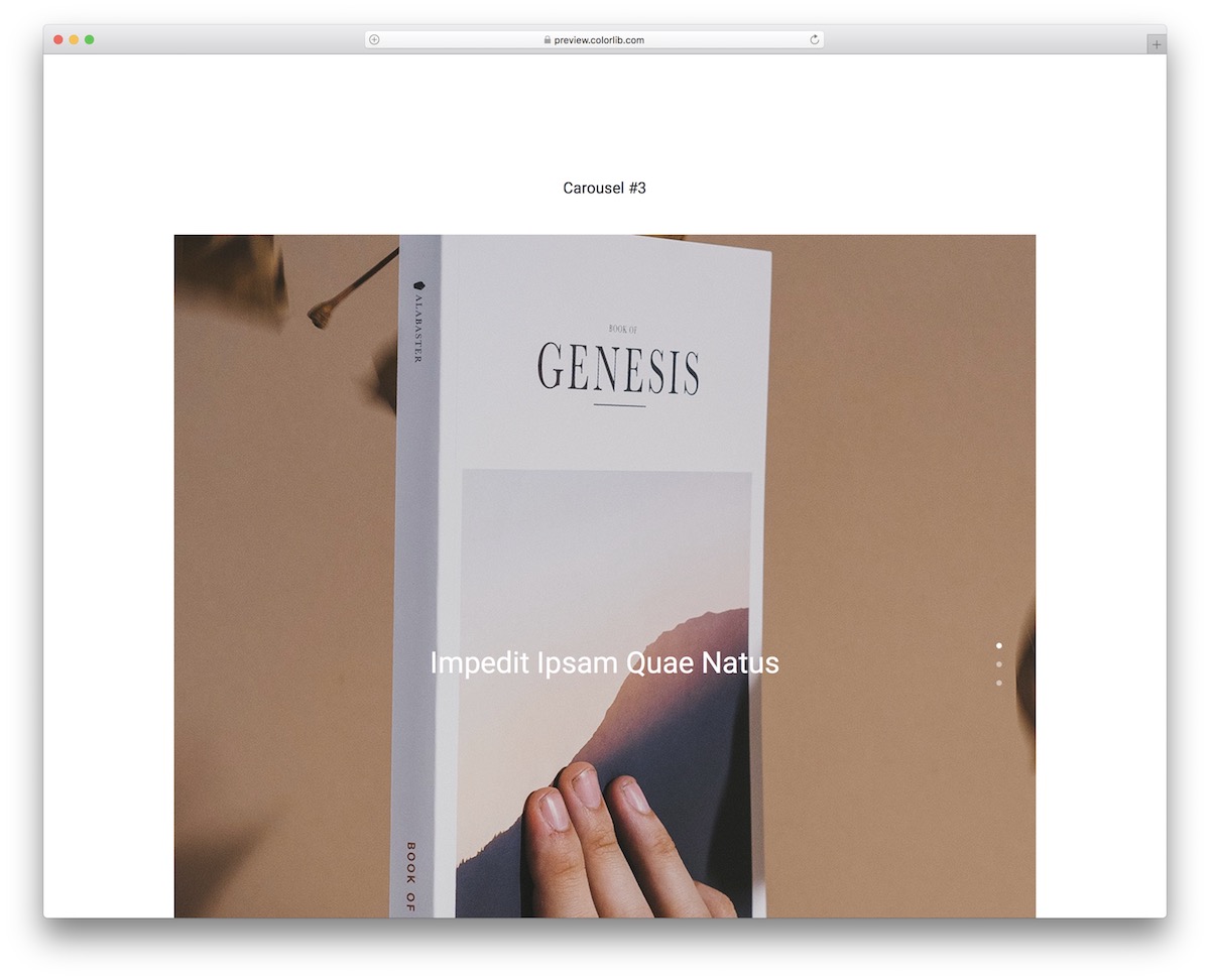 Carousel V13 - Free Vertical Carousel Template 2025 - Colorlib