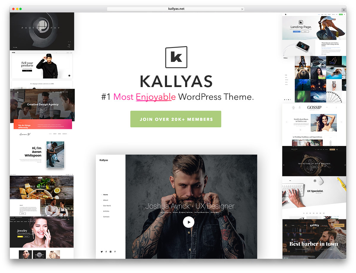 44 Best WordPress Portfolio Themes 2022 - Colorlib