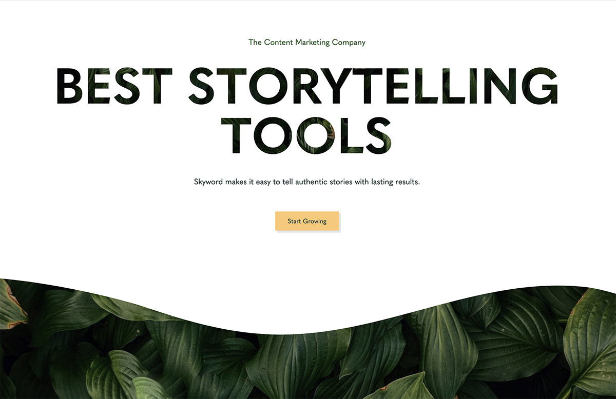 Top 10 Storytelling Tools for Content Creators 2022 - Colorlib
