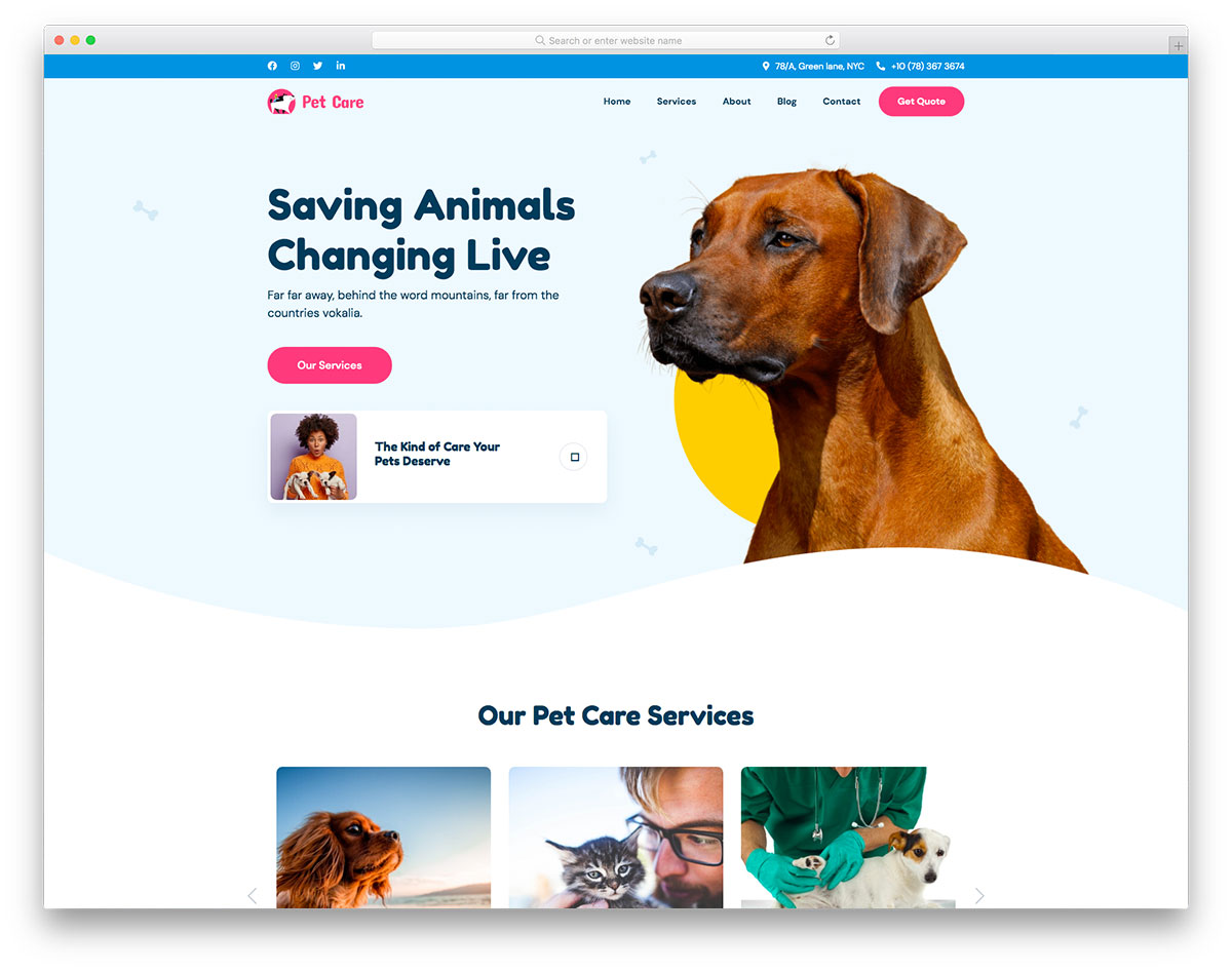 Anipat - Best Pet Care Website Template Design 2022 - Colorlib