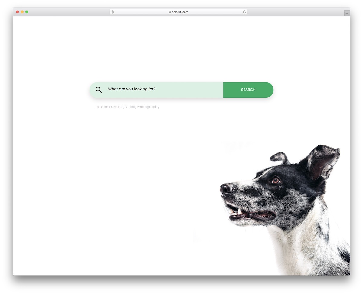 Colorlib Search Form V19 - Free Flight Search Template 2022 - Colorlib
