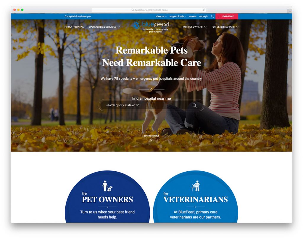 19 Best Veterinary Websites For Veterinarians 2021 - Colorlib