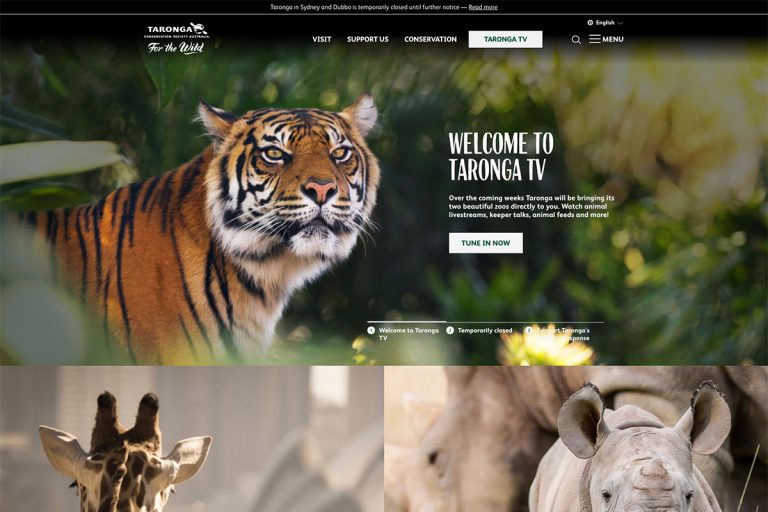 19 Exemplary Zoo Websites To Explore For A Zoo Business 2020 - Colorlib