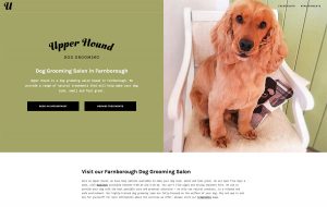 17 Stunning Dog Grooming Websites To Stimulate Brands 2020 - Colorlib