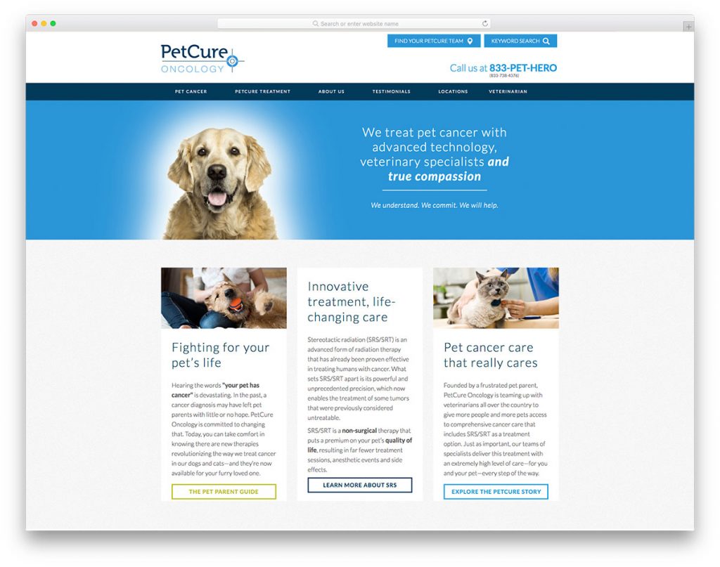 19 Best Veterinary Websites For Veterinarians 2021 - Colorlib