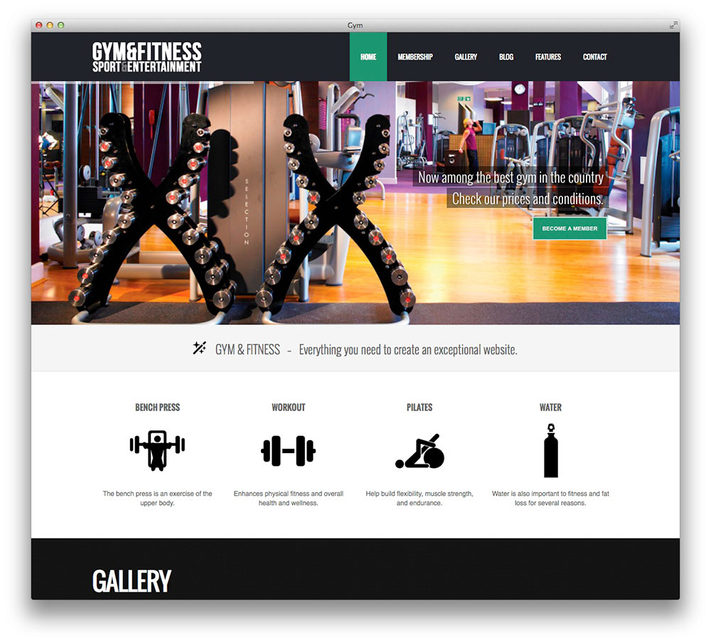 20+ Best WordPress Fitness Themes 2015 For Gym and Fitness Centers ...