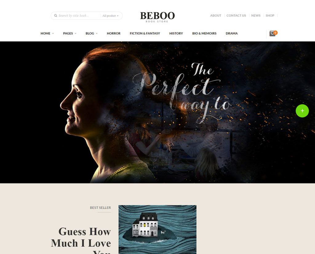 8 Outstanding WordPress CD / DVD Themes 2021 - Colorlib