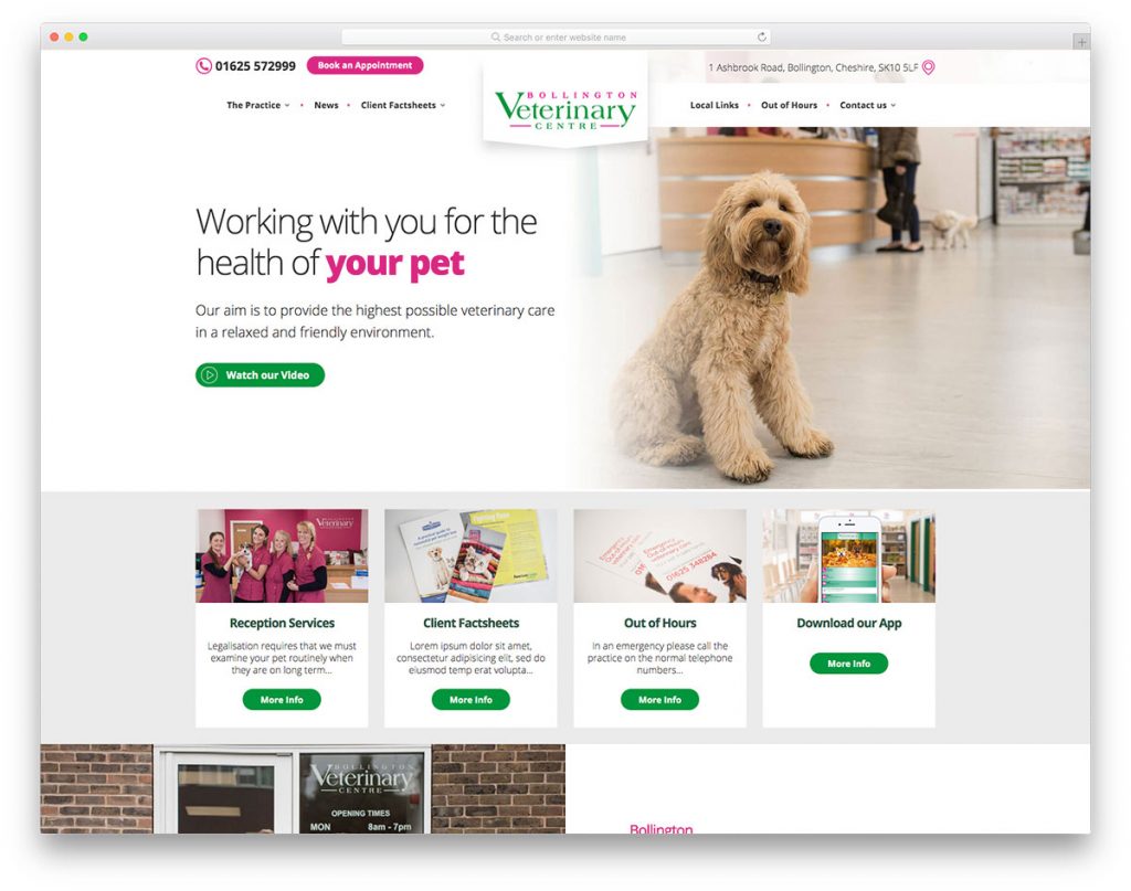 19 Best Veterinary Websites For Veterinarians 2021 - Colorlib