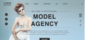 21 Best Model Agency WordPress Themes 2021 - Colorlib