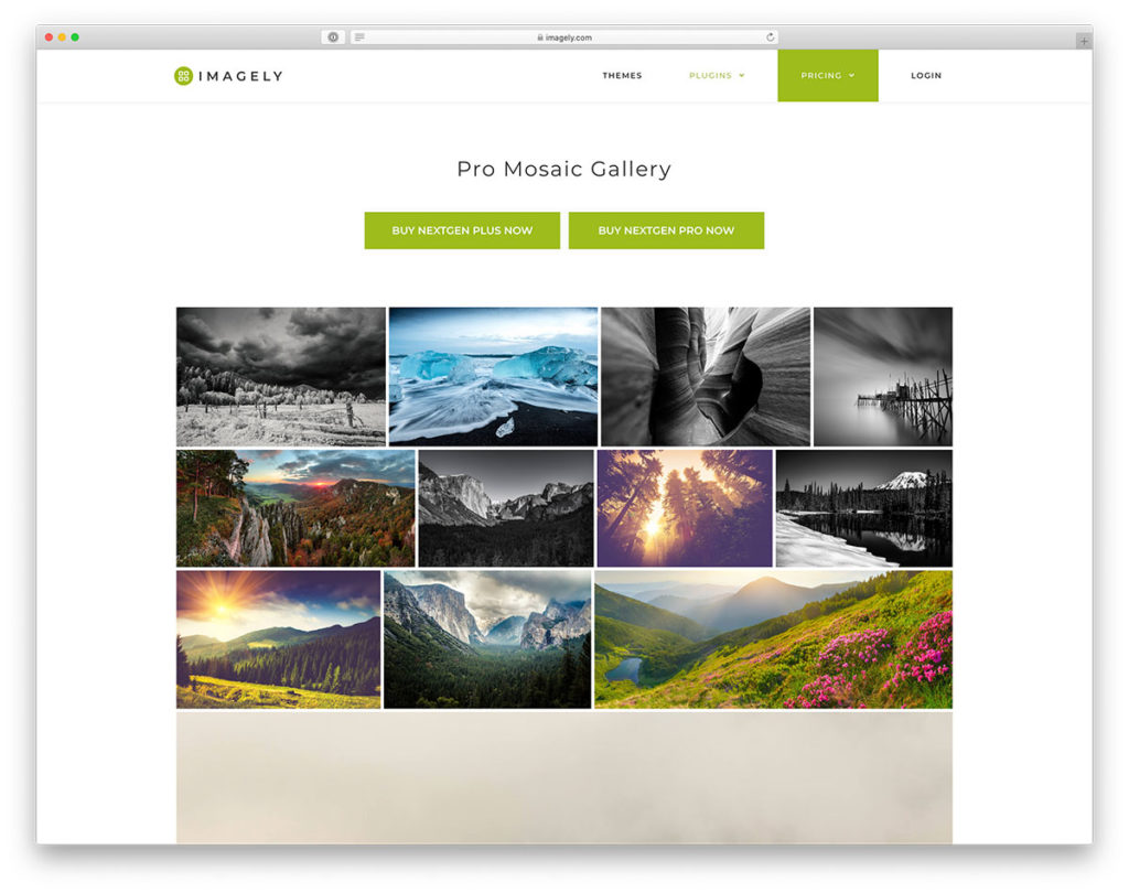 15 Best WordPress Gallery Plugins for Free 2026 - Colorlib