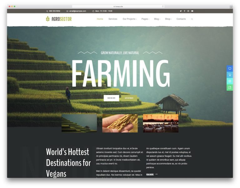 19 Best Farming & Agriculture WordPress Themes 2021 - Colorlib