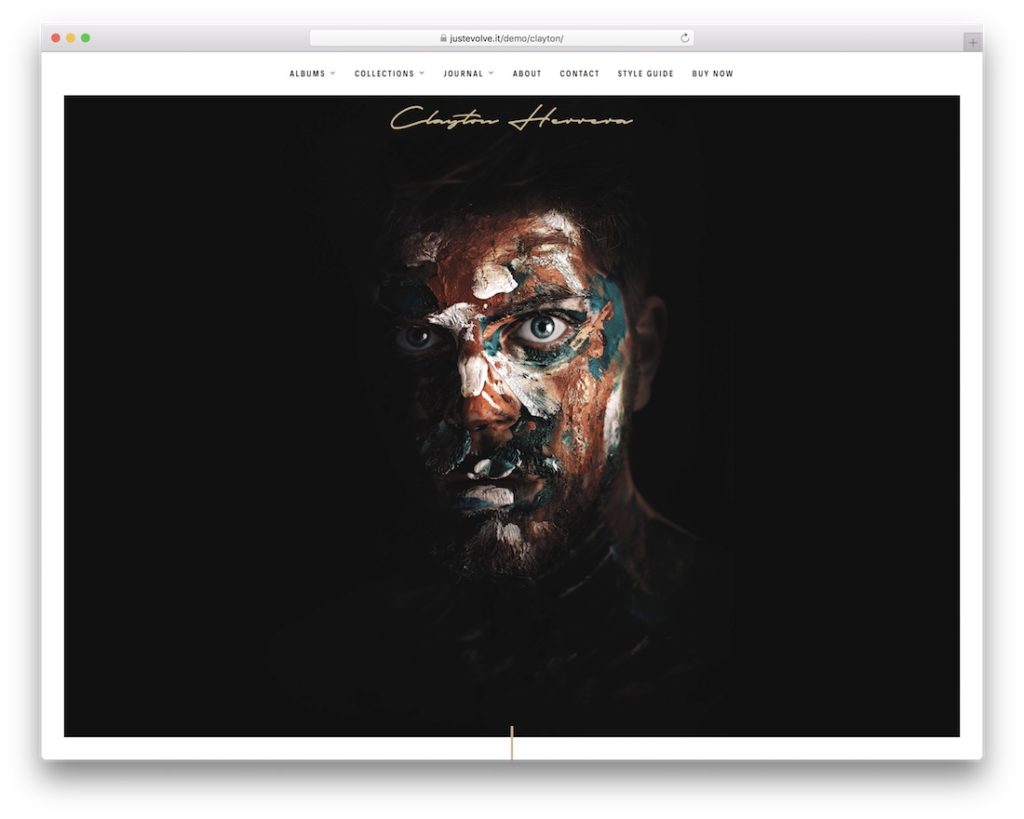 22 Awesome WordPress Gallery Themes 2021 - Colorlib