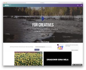 Top 29 Free Stock Video Footage Sites 2021 - Colorlib