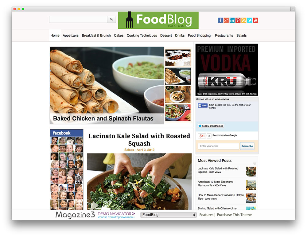 20+ Awesome Food WordPress Themes to Share Recipes 2016 - colorlib