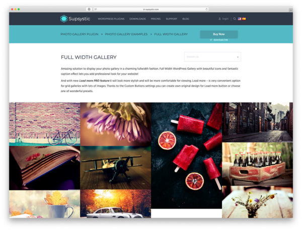 20 Free WordPress Gallery Plugins 2021 - Colorlib