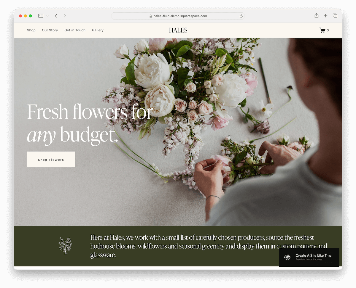 21 Best Squarespace Templates For Shops 2025 - Colorlib