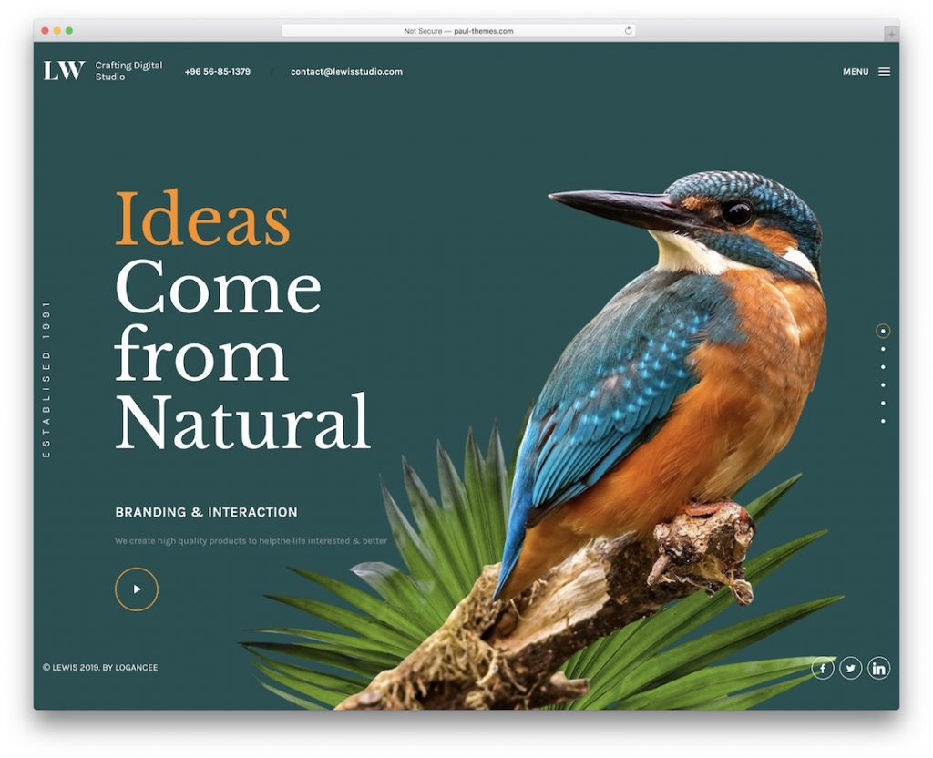 23 Awesome HTML Grid Website Templates 2021 – Avasta