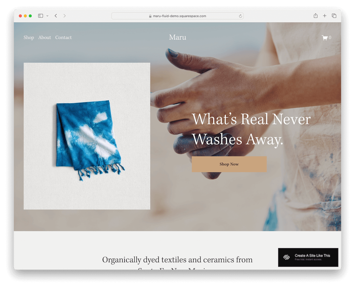 21 Best Squarespace Templates For Shops 2025 - Colorlib