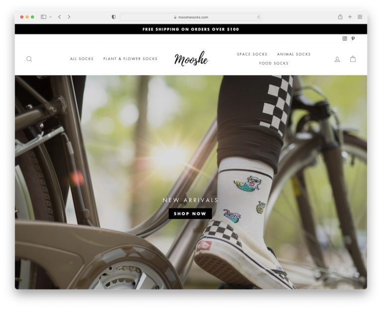 16 Best Dropshipping Website Example Designs 2026 - Colorlib