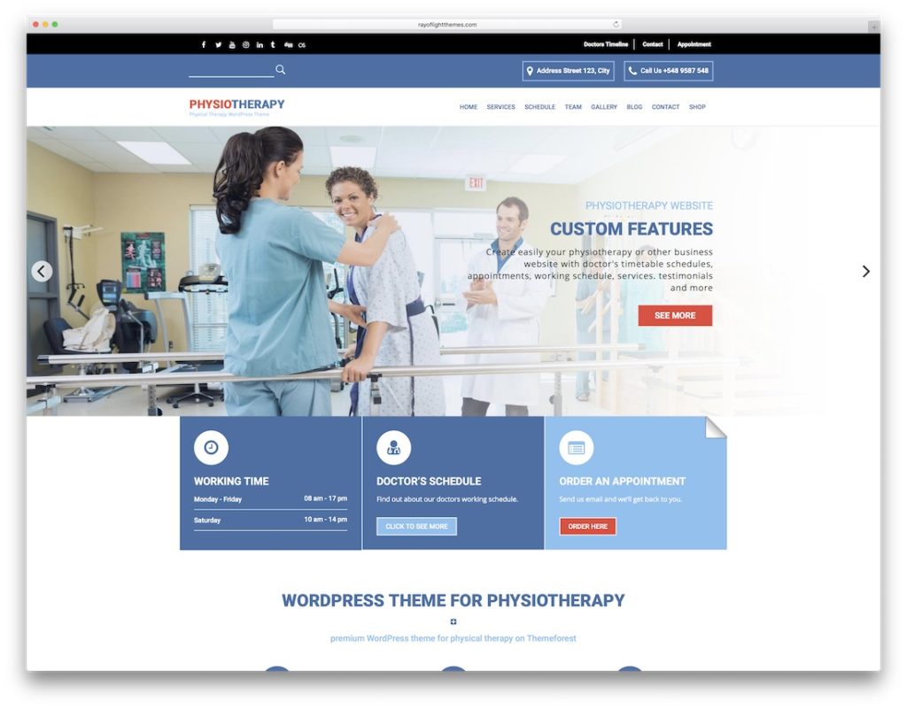 13 Physiotherapy & Chiropractor WordPress Themes 2021 – Avasta