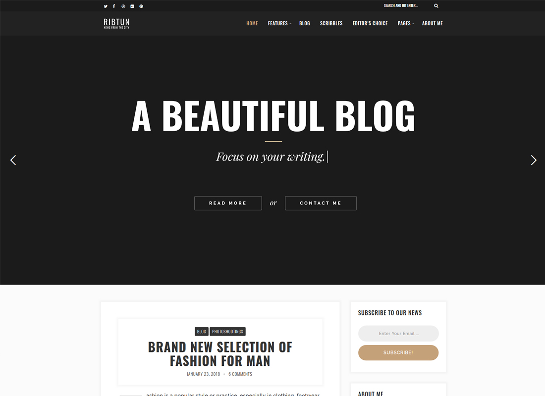 19 Best WordPress Books Themes 2021 - Colorlib