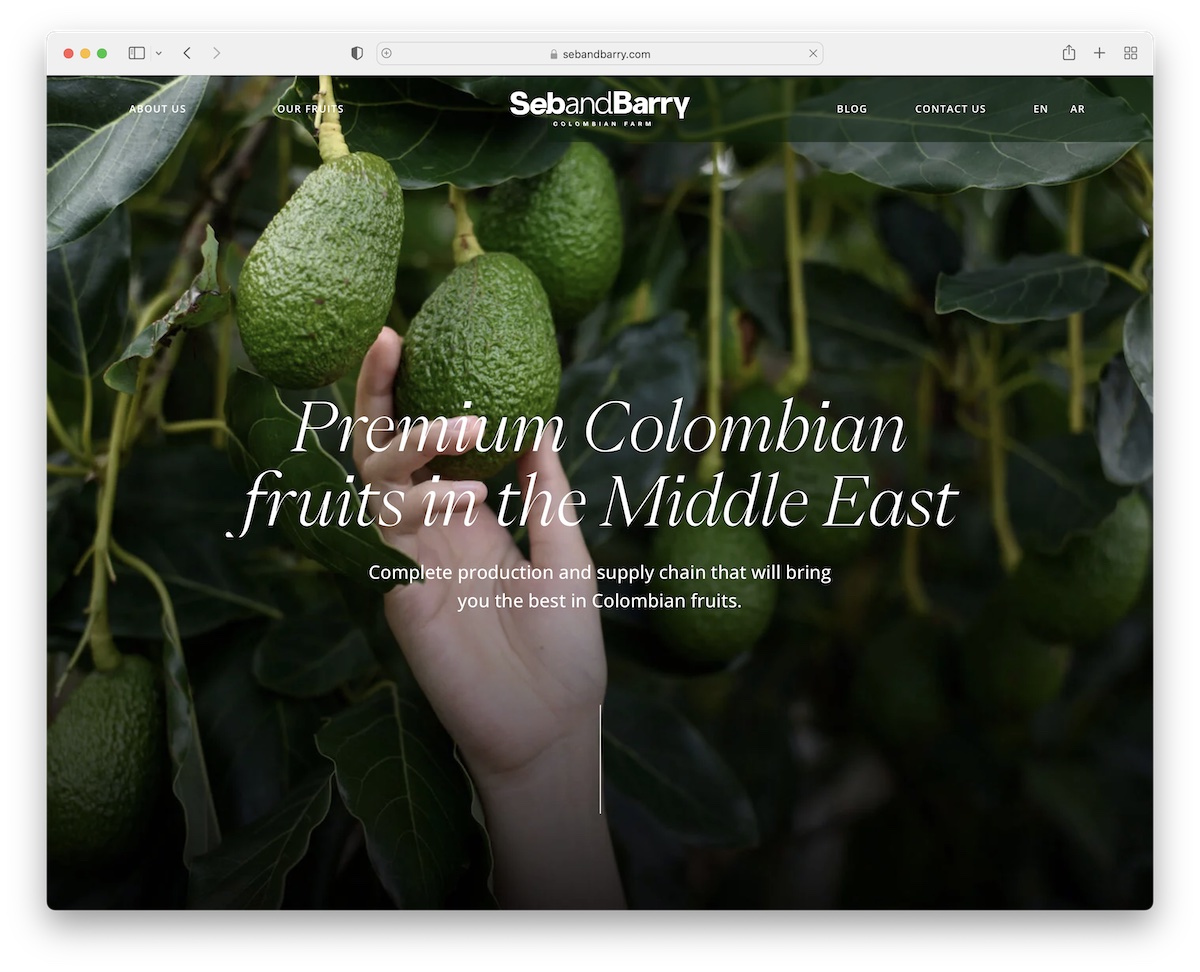 20 Best Tilda Websites (Examples) 2025