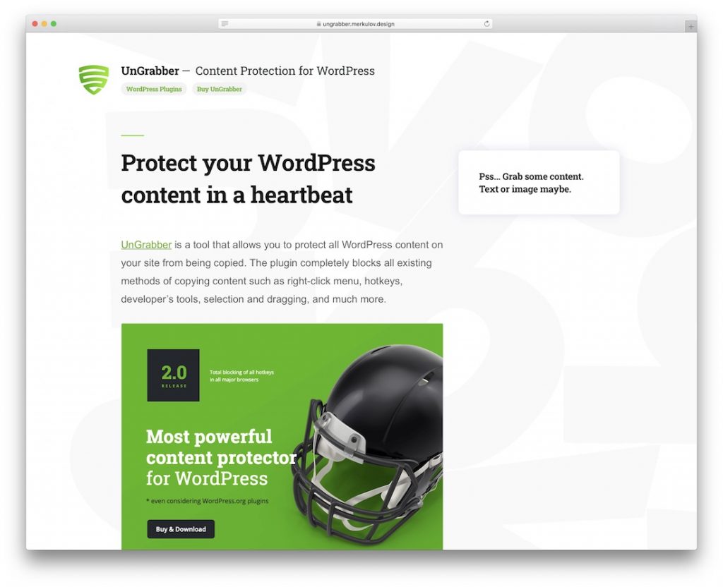 Top 16 Content Protection Plugins for WordPress Websites - Colorlib