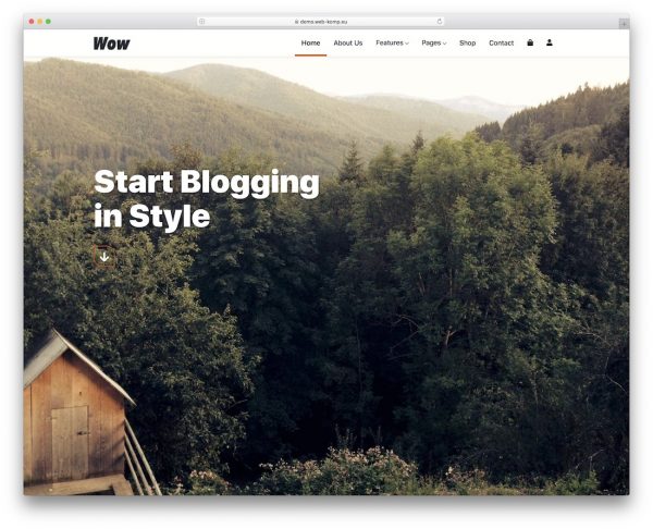 32 Best Free Bootstrap WordPress Themes 2021 - Colorlib