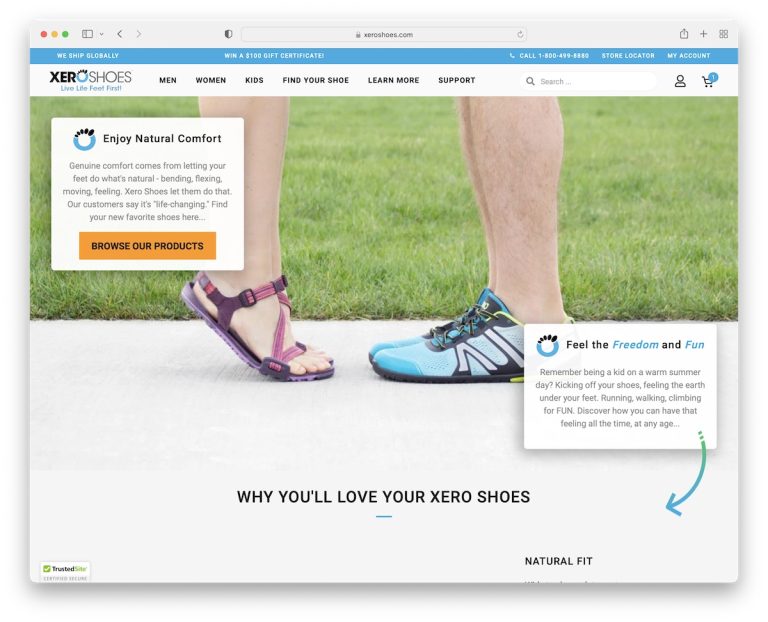 20 Best Shoe Website Design Ideas 2026 - Colorlib
